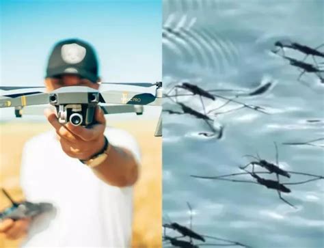 Indian Startup Revolutionizes Mosquito Detection Using Spy Satellite Technology