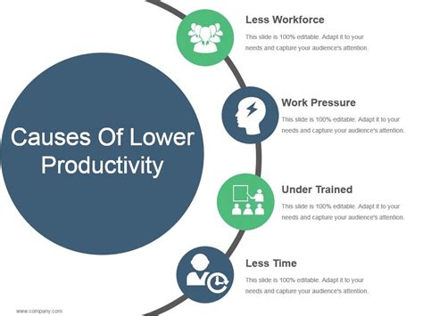 Causes Of Lower Productivity Ppt Sample Presentation Powerpoint