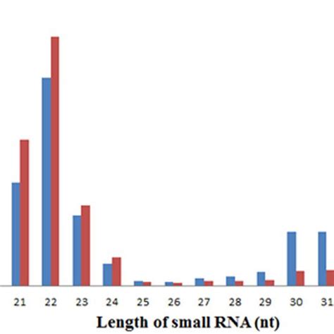 Length Distribution Of Small Rnas In Bl And Sl Libraries Download Scientific Diagram