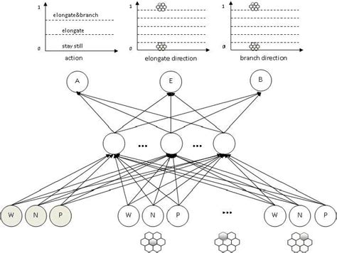 1 Neural Network Architecture The Feedforward Fully Connected Download Scientific Diagram