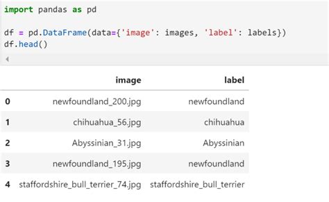 Demystifying Pytorch S Weightedrandomsampler By Example Towards Data Science