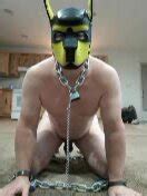 Pup In Chains Thisvid Com