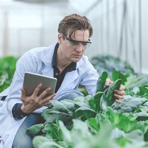 Ai In Precision Agriculture Farms For A Sustainable Future