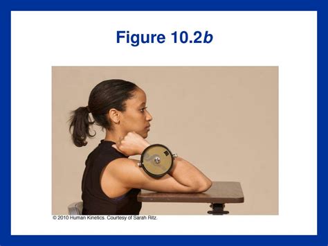 PPT Chapter 10 PowerPoint Presentation Free Download ID 5552141