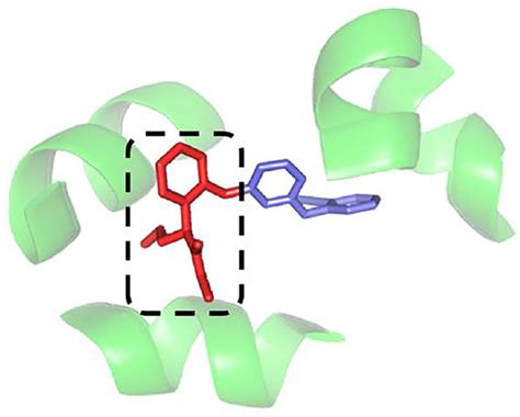 Improving Drugtarget Affinity Prediction By Adaptive Self Supervised Learning Peerj