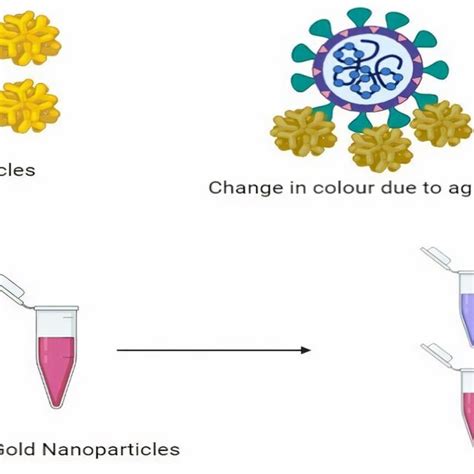 Nanoparticle Based Virus Detection Using Calorimetric Assay Download