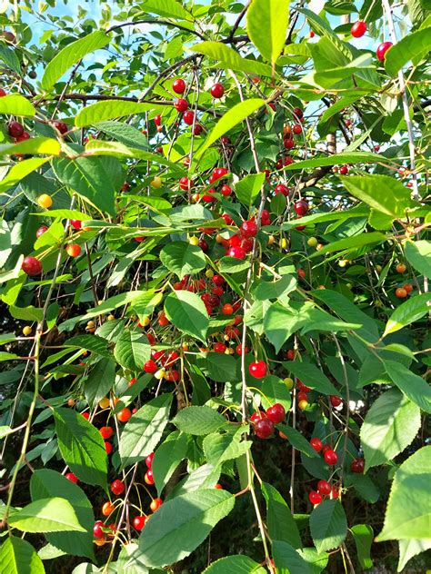 Etv В субботу по традции эстонское кино на Etv 🇪🇪 Забери или оставь 📺 18 февраля в 20 35