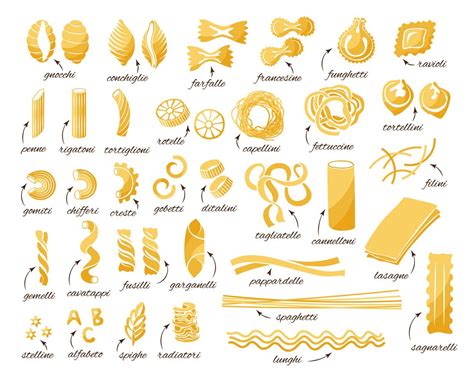 Types Of Noodles
