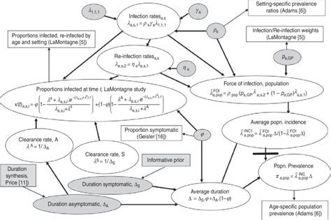 Directed Acyclic Graph Dag Of The Evidence Network The Data Sources