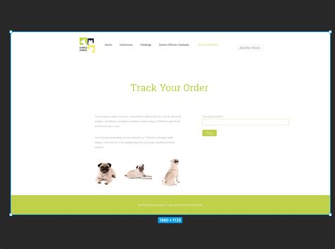 Create Custom Search For Your Wordpress By Adarshwp Fiverr
