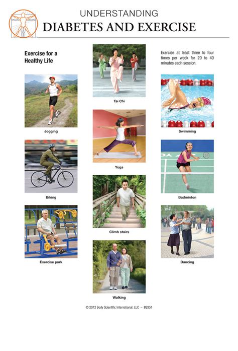 Diabetes And Exercise Anatomical Wall Chart Bsi Catalog