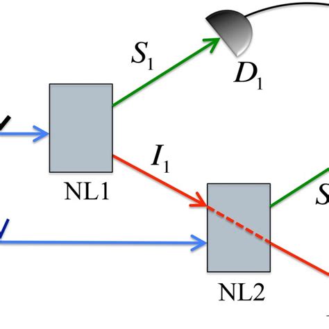 Setup For Detecting The Effect Of Stimulated Emission In Coincidence Download Scientific