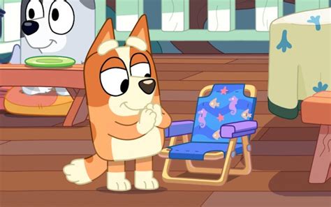 13 Bluey Episodes About Bingo Blueys Little Sister