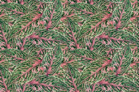 수채화 화는 다채로운 열대 녹색 핑크 잎 원활한 패턴 배경 수채화 손으로 그린 일러스트 트로피아 이국적인 잎 인쇄 벽지 직물 하와이 알로하 여름 스타일 0명에 대한 스톡