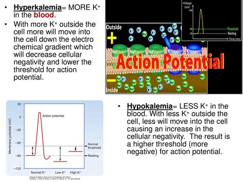 Fluids Electrolytes And Acid Base Balance Ppt Download