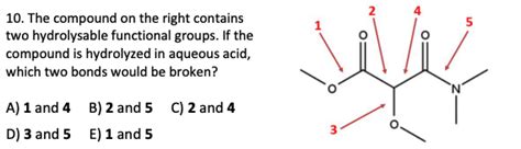 Solved The Compound On The Right Containstwo Hydrolysable