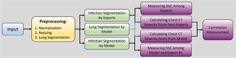 A Schematic Representation Of The Workflow It Presents The Pipeline Download Scientific