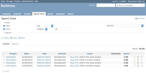 Time Entries Afterpng Redmine