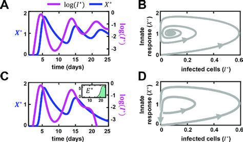 Predator Prey Like Oscillations May Underlie Multiple Viral Load Peaks Download Scientific
