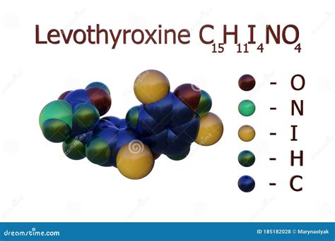 Space Filling Molecular Model Of Levothyroxine Or L Thyroxine A Manufactured Form Of The
