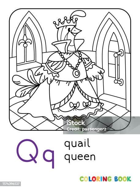 메추라기 여왕 Abc 색칠 공부 책 알파벳 Q 가정의 방에 대한 스톡 벡터 아트 및 기타 이미지 가정의 방 고용과 노동 공주 Istock