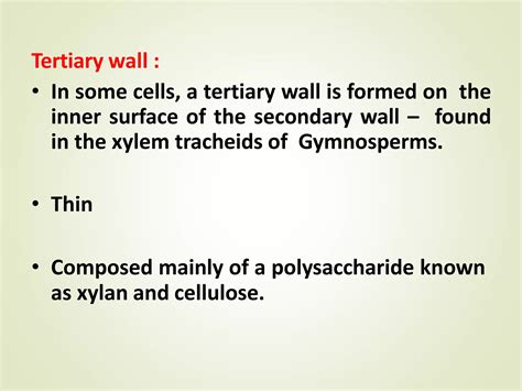 Eukaryotic Cell Wall Pptx