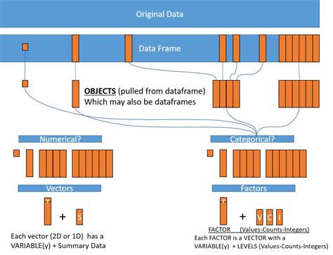 Genomics R Data Frames And Factors Data Science In Omics Introduction
