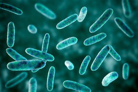 7 Subtle Signs You Have A Weak Immune System The Lasting Health