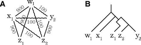 Corrected Figure Eight Maximum Edge Weight Cliques For Inference Of