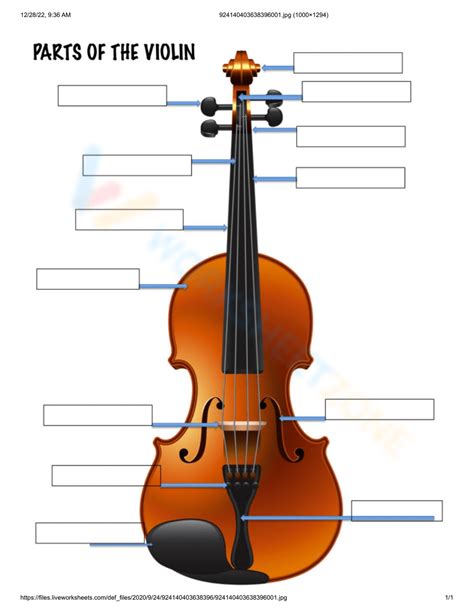Parts Of The Violin Printable Free Worksheets Printable