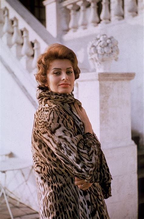 Picture Of Sophia Loren Sophia Loren Photo Sophia Loren Sophia
