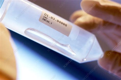 DNA Sample Stock Image G Science Photo Library