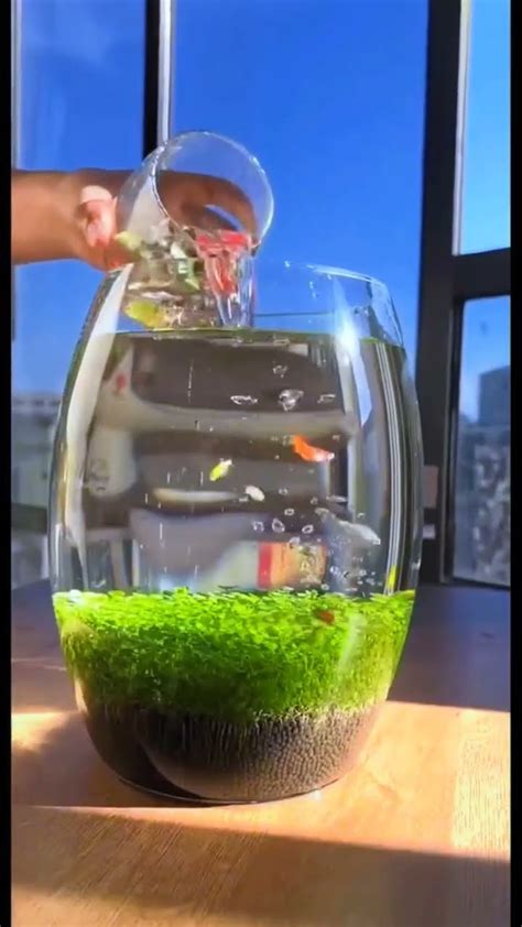 جان و جگر 😍 ️😇 ️ 💯💙💞‘ Youtube