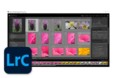 Adobe Photoshop Lightroom Classic Etunurkka