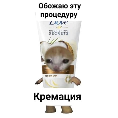 Идеи на тему Мемные картинки 250 в 2025 г веселые мемы смешные