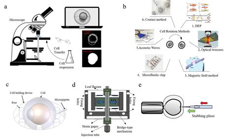 Main Parts Of A Microinjection System A Cell Detection B Cell Download Scientific Diagram