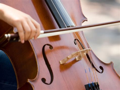 How To Tune A Cello Prima Sonoro Carbon Fibre String Instruments