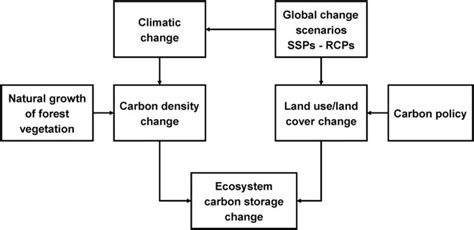 A Flowchart To Project Future Carbon Storage Under Climate And Land Use Download Scientific