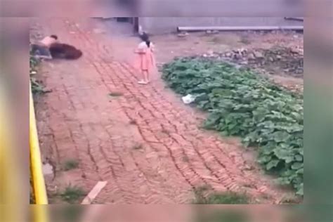 男子投喂流浪狗被攻击，男子用尽全力将狗按住