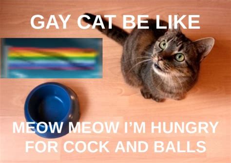 Funny Cats Gay Edition Rapandah