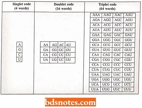 Degeneracy Of Genetic Code Notes Bds Notes