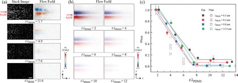 Acoustic Waves Coupling With Polydimethylsiloxane In Reconfigurable