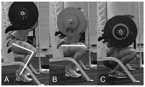 Single Set Vs Multiple Set Training Part 2
