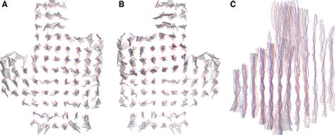 Three Different Views Of The 3d Origami Structure Determined By A