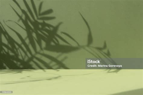 화장품의 프리젠테이션을 위한 최소한의 추상적 배경 녹색 배경에 열대 야자수 잎의 그림자가 있는 프리미엄 빈 연단 진열장 진열장 강단에 대한 스톡 사진 및 기타 이미지