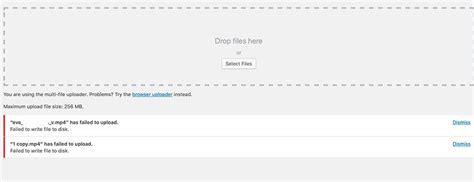 Wordpress Failed To Write File To Disk How To Fix This