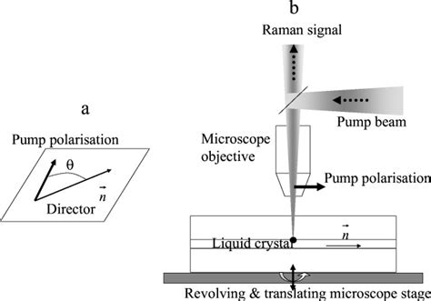 A Relative Orientation Of Pump Polarization Compared To The Director