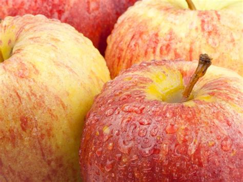 Tất Tần Tật Những Thông Tin Về Dòng Táo Gala