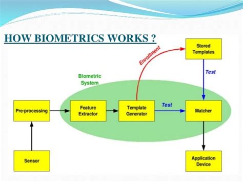 Signature Recognition Biometrics