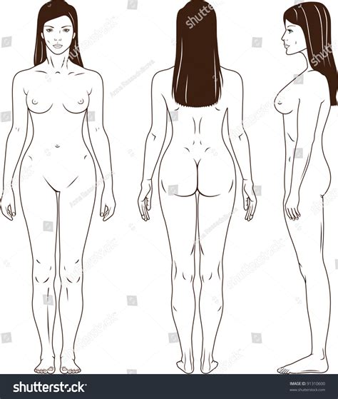 Vektor Stok Panjang Penuh Depan Belakang Pandangan Sisi Tanpa Royalti 91310600 Shutterstock